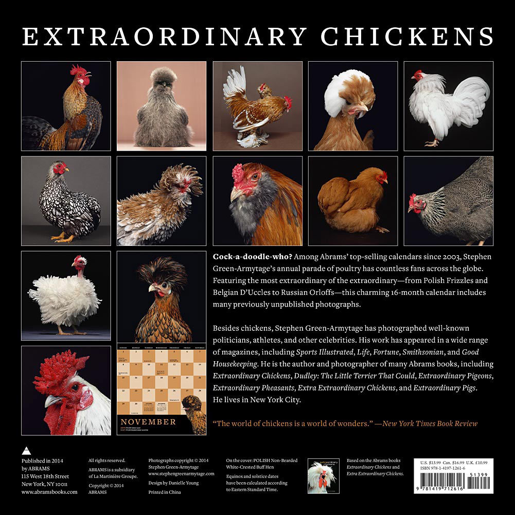 Extra Extraordinary Chickens