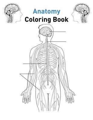 Circulatory System Coloring Page