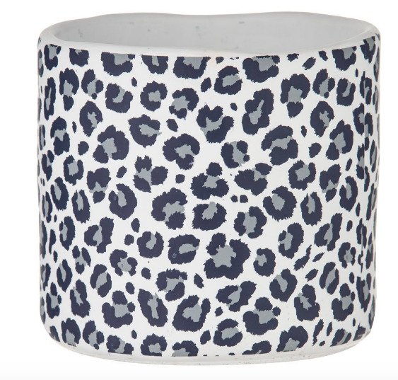 Leopard Pot | at Mighty Ape NZ