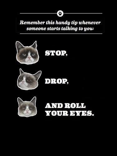 Grumpy Guide to Life | Grumpy Cat Book | In-Stock - Buy Now | at Mighty ...