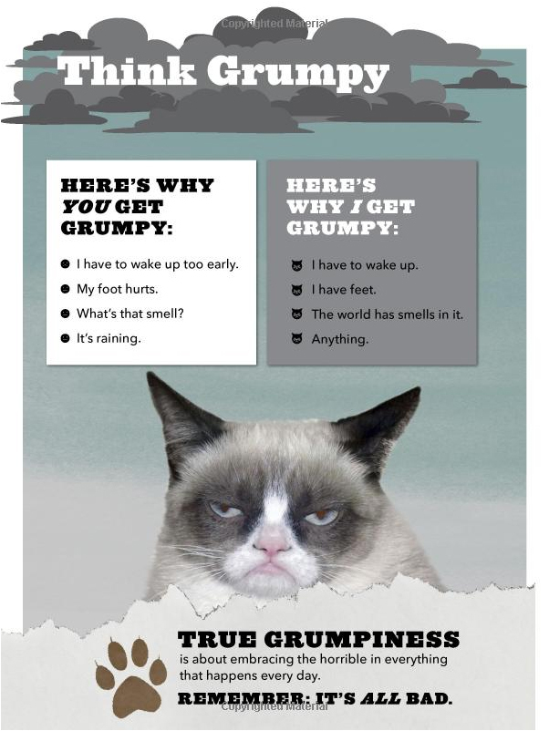 Grumpy Cat: A Grumpy Book | Grumpy Cat Book | In-Stock - Buy Now | at ...