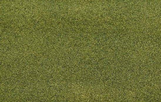 JTT: Z Scale Grass Mats (19” - 25”) - Moss Green | at Mighty Ape NZ