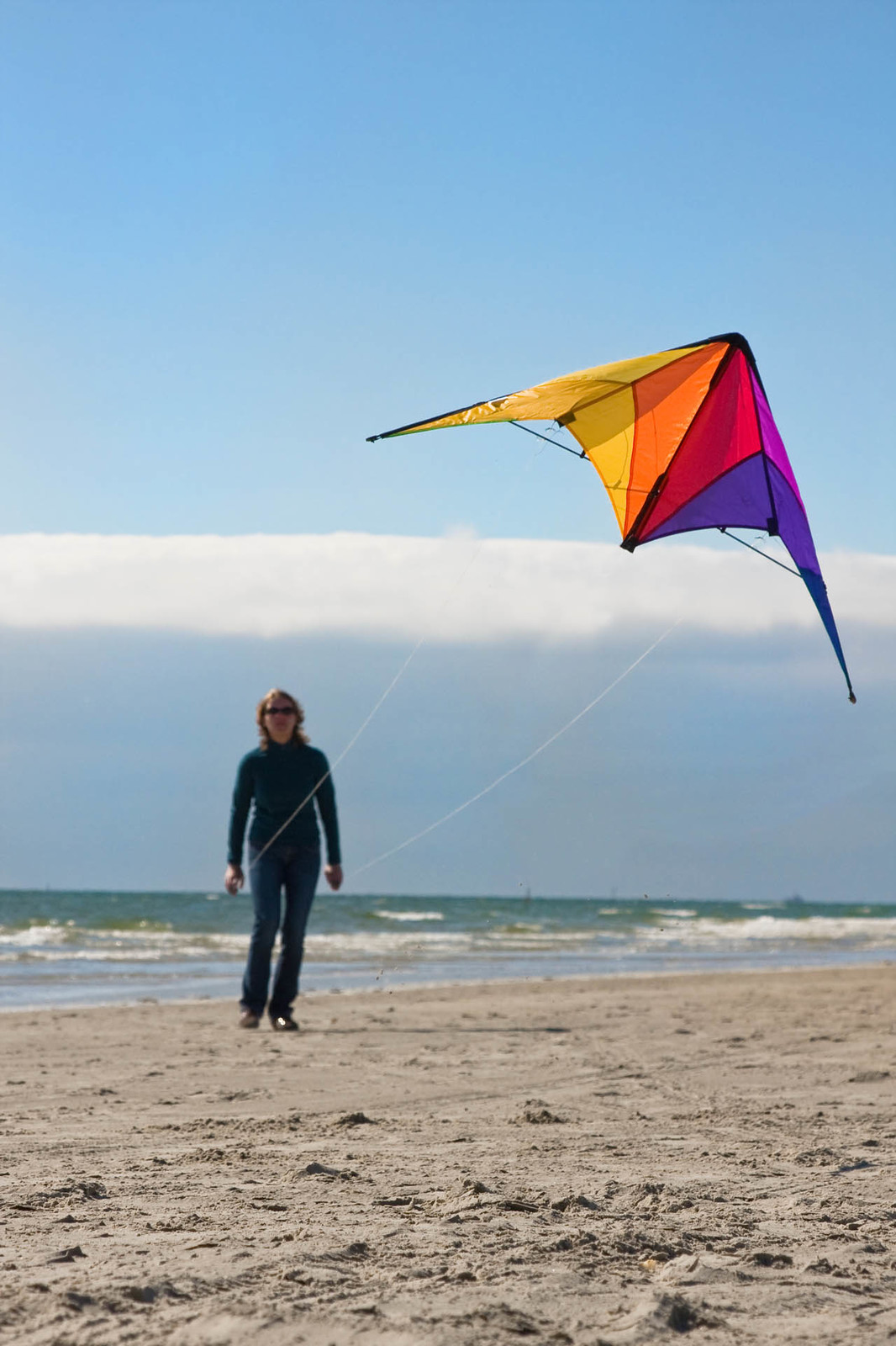 Buy Calypso II Radical R2F - Sport Kite at Mighty Ape NZ