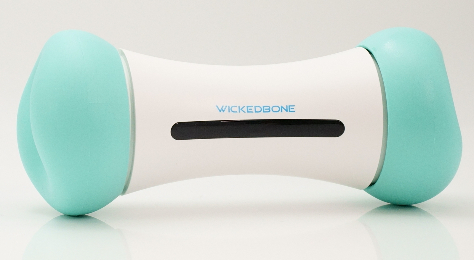 Cheerble Wicked Bone SE Dog Toy - Mint | at Mighty Ape NZ