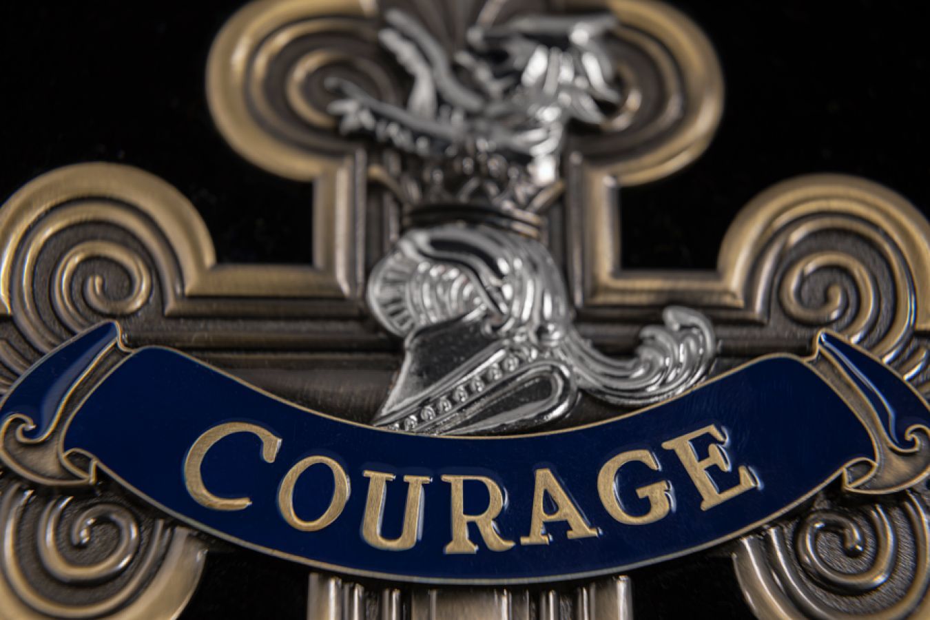 Courage Medal - Premium Replica | at Mighty Ape NZ
