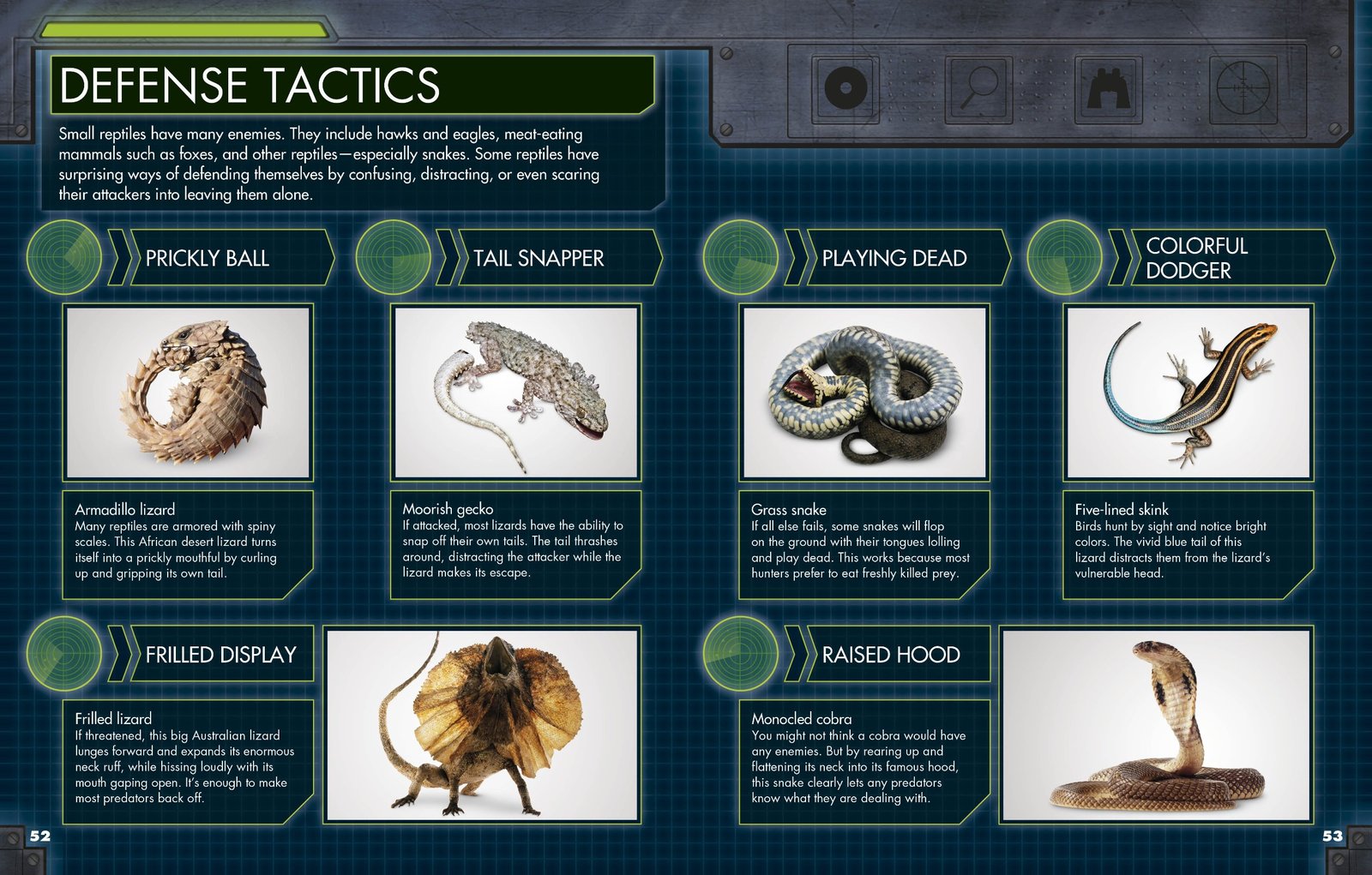 Everything You Need to Know about Snakes | DK Book | In-Stock - Buy Now ...