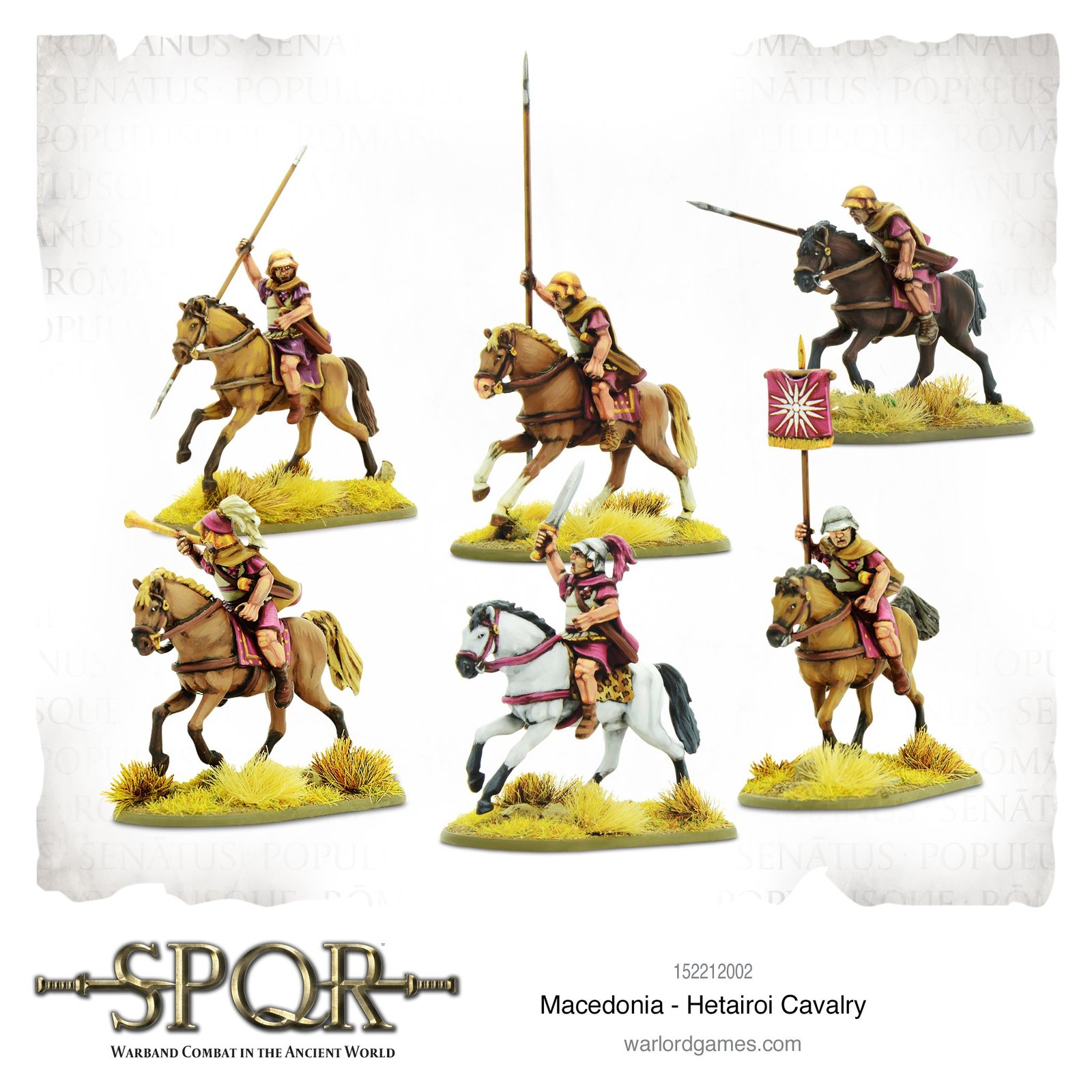SPQR: Macedonia Hetairoi Cavalry | at Mighty Ape NZ