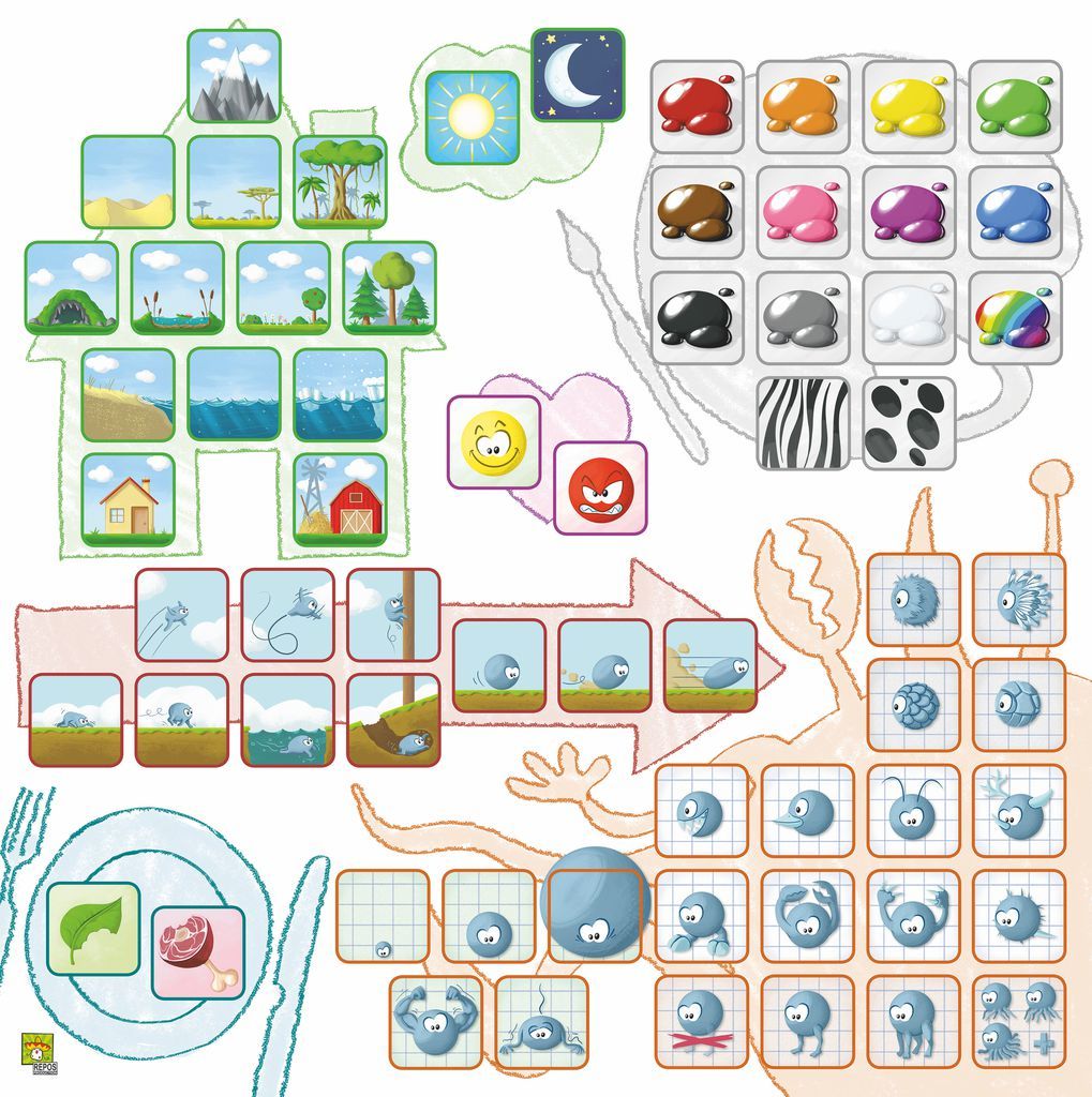 Concept Kids: Animals | Board Game | at Mighty Ape Australia