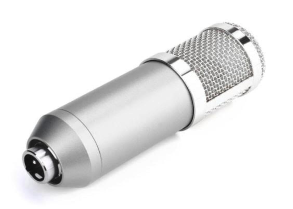 Pro Studio - Professional Broadcasting Microphone with Shockproof Mount ...