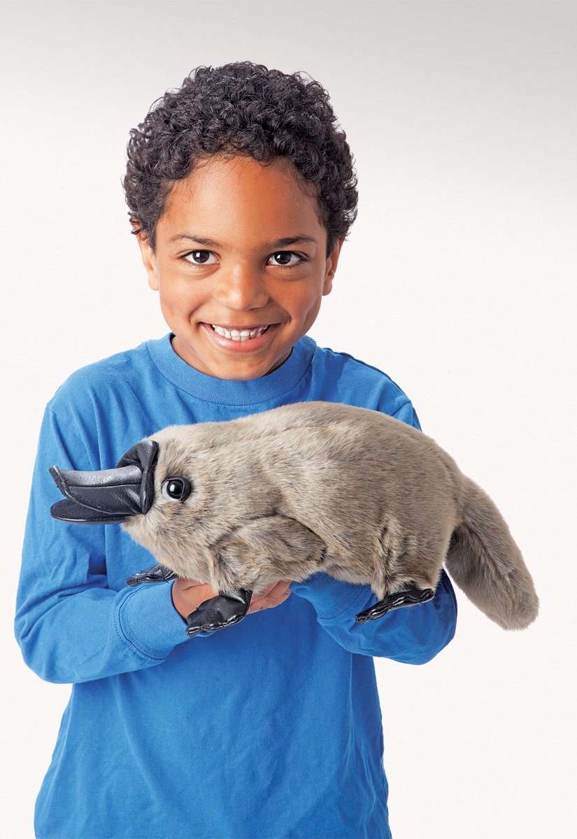 Buy Folkmanis: Hand Puppet - Baby Platypus at Mighty Ape NZ