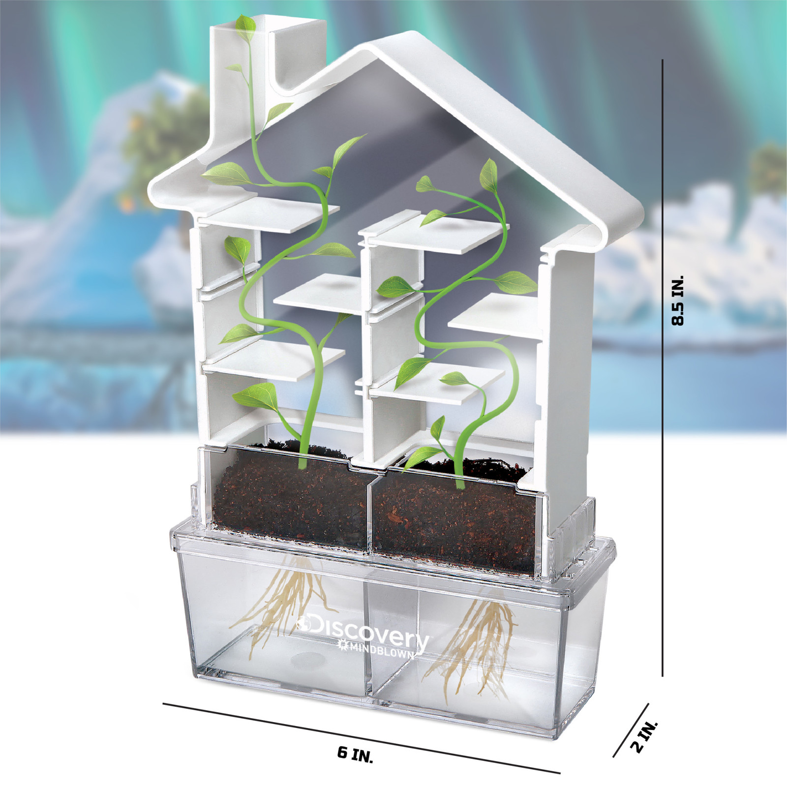 Buy Maze Planter - DIY Build & Grow Kit at Mighty Ape NZ