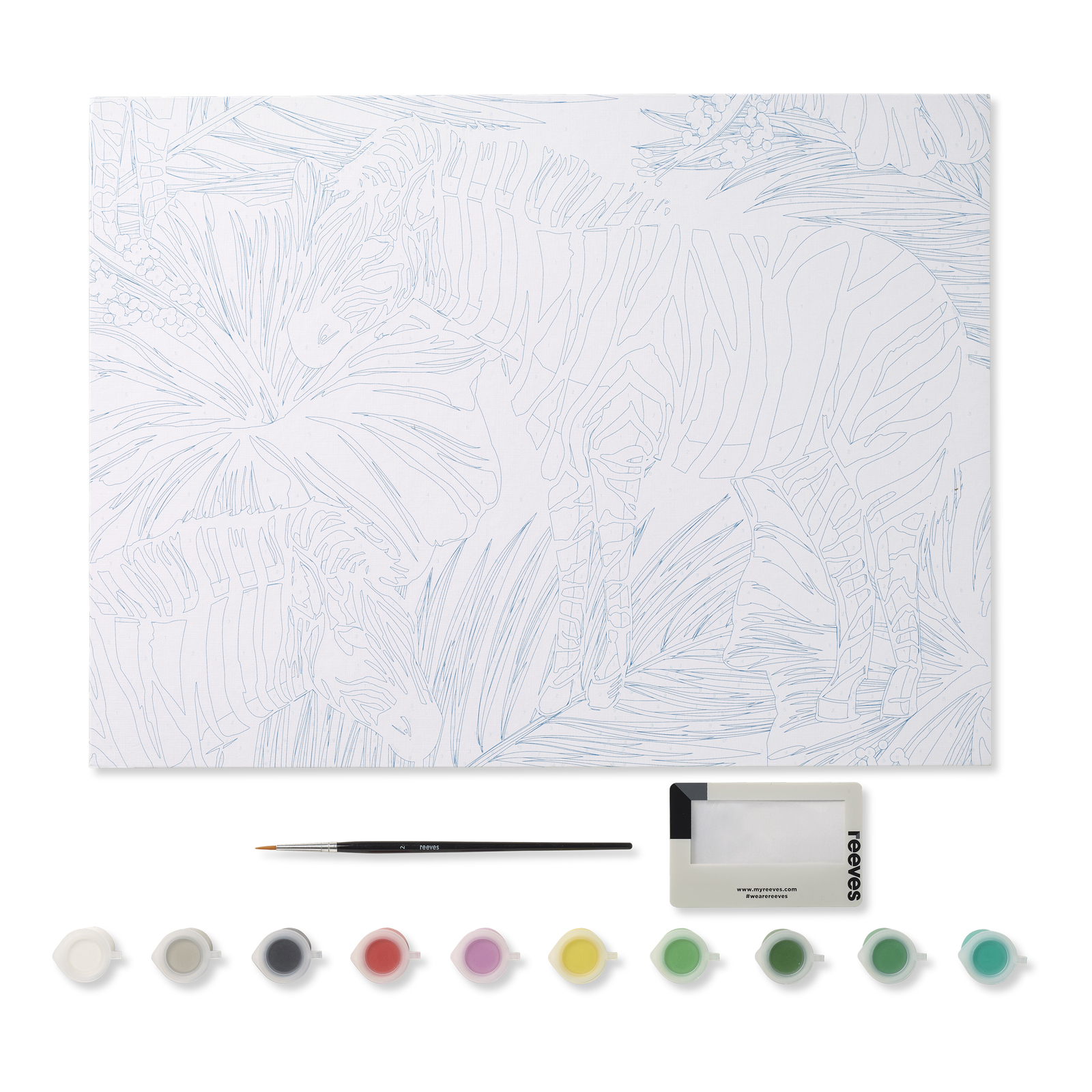 Buy Reeves: Paint By Numbers Acrylic at Mighty Ape NZ