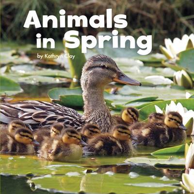 Animals in Spring Image at Mighty Ape NZ