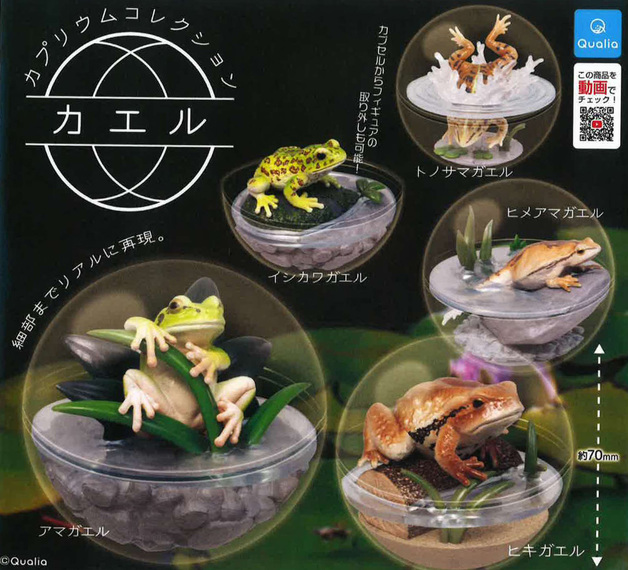 Caprium Collection Frog (Blind Box) | at Mighty Ape NZ