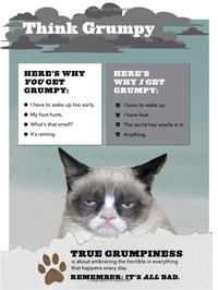 Grumpy Cat: A Grumpy Book | Grumpy Cat Book | In-Stock - Buy Now | at ...
