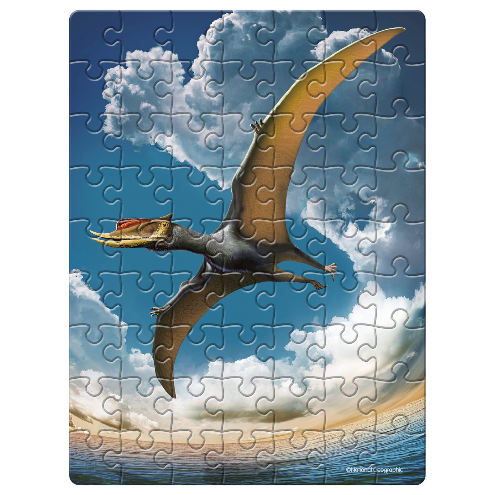 National Geographic Dino Puzzle Egg: Pterosaur | Board Game | at Mighty ...
