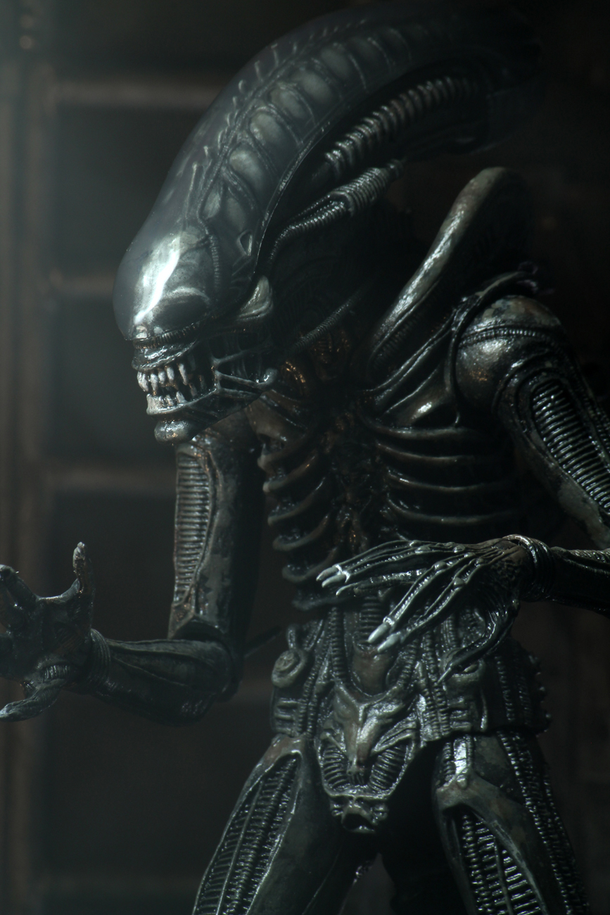 Xenomorph (Big Chap) - 7″ Ultimate Figure | at Mighty Ape NZ