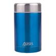 Oasis: Stainless Steel Insulated Food Flask - Aqua (450ml) | at Mighty ...