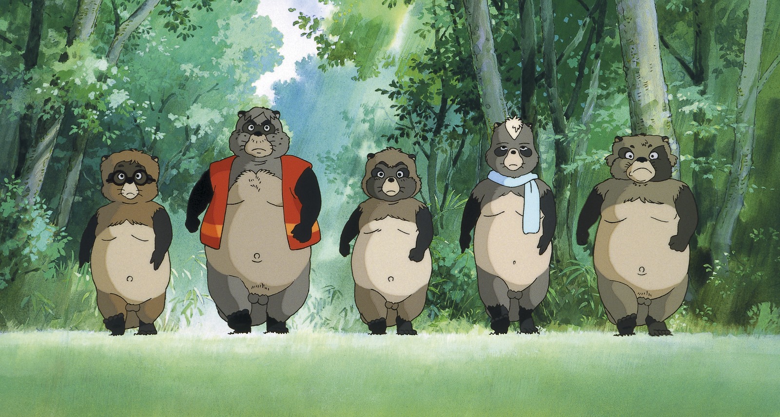 Pom Poko | DVD | Buy Now | at Mighty Ape NZ