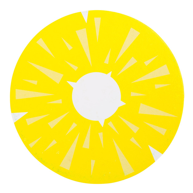 Sunnylife Coasters - Pineapple & Watermelon (Set 16) | at Mighty Ape NZ