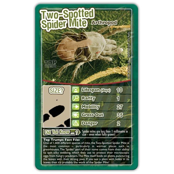 Top Trumps: Bugs | Board Game | at Mighty Ape NZ
