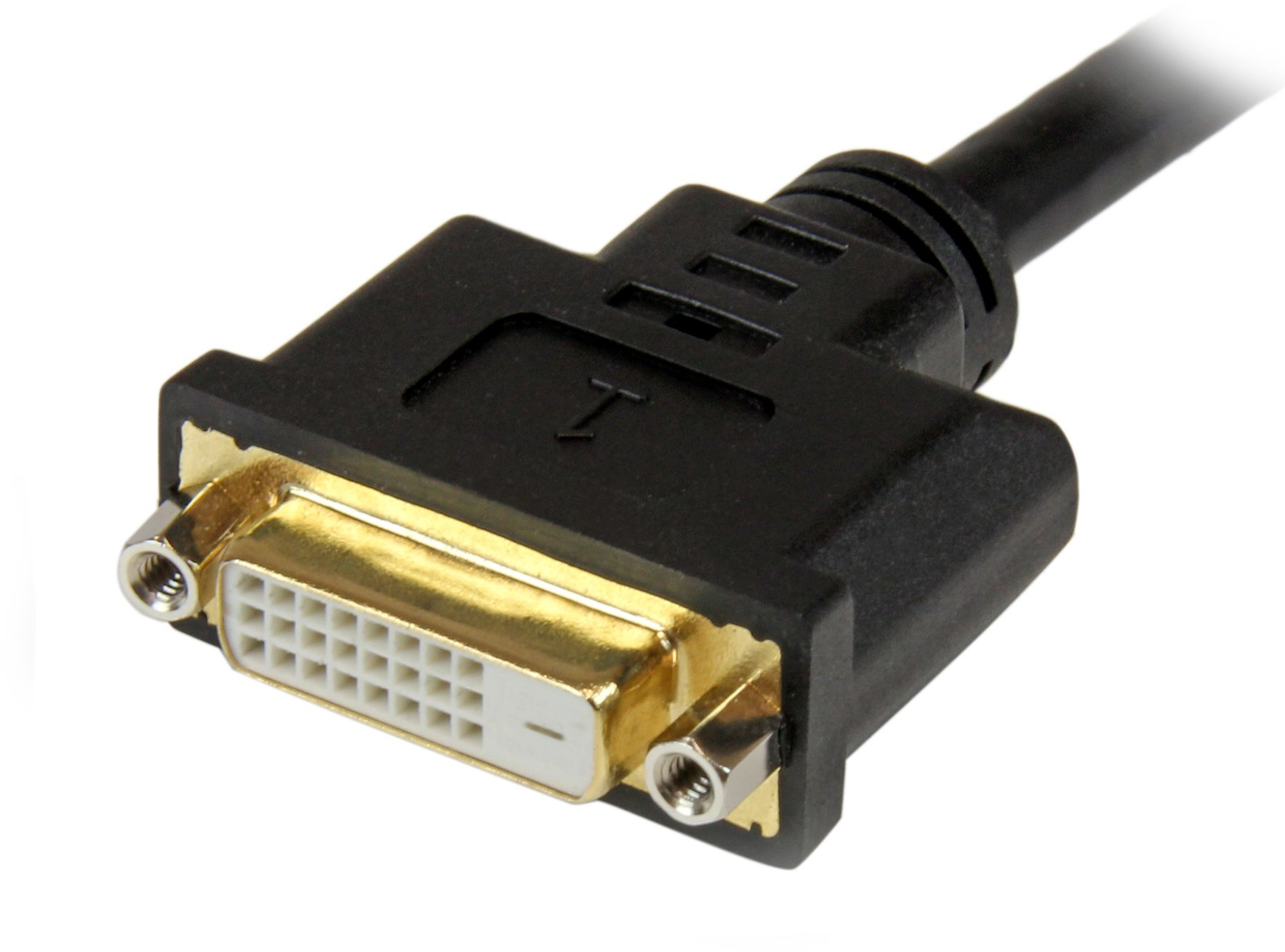 StarTech Wyse Compatible DVI Splitter Cable | at Mighty Ape NZ