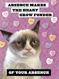 Grumpy Guide to Life | Grumpy Cat Book | In-Stock - Buy Now | at Mighty ...