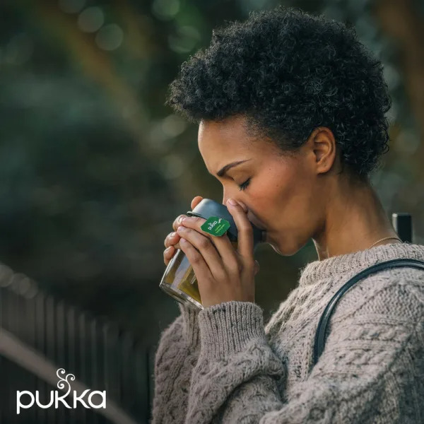 Pukka Green Collection - 20 Bags | at Mighty Ape NZ