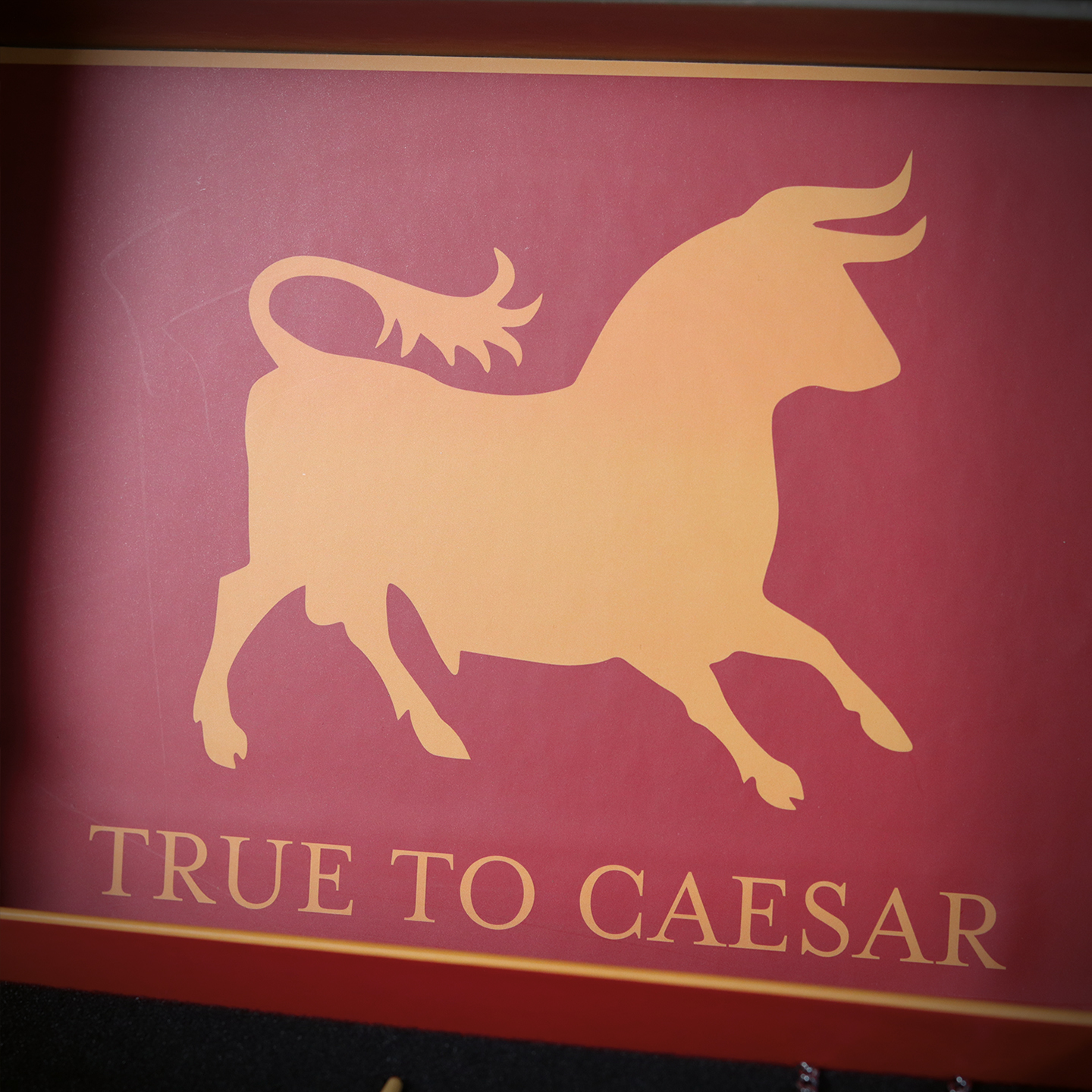 Fallout: Ceasers Legion - Premium Box | at Mighty Ape NZ