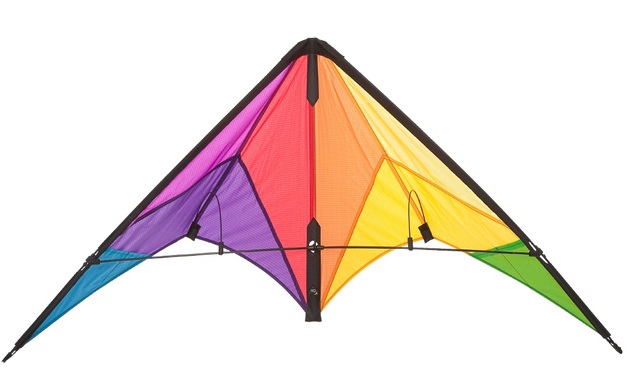 Buy Calypso II Radical R2F - Sport Kite at Mighty Ape NZ