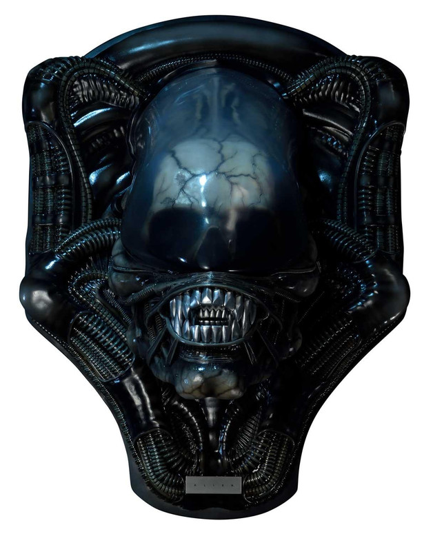 Big Chap Head Trophy - 23" 3D Wall Art | at Mighty Ape NZ