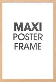 Star Wars Imperial Fleet Blueprint Wall Poster (239) | at Mighty Ape NZ