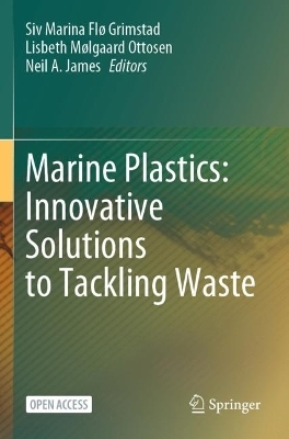 Marine Plastics: Innovative Solutions to Tackling Waste | Buy Now | at ...