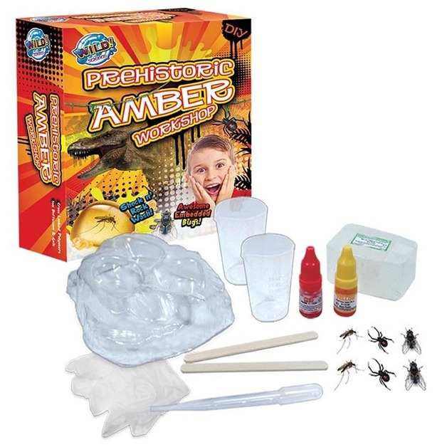 Buy Wild Science - Prehistoric Amber Workshop at Mighty Ape NZ