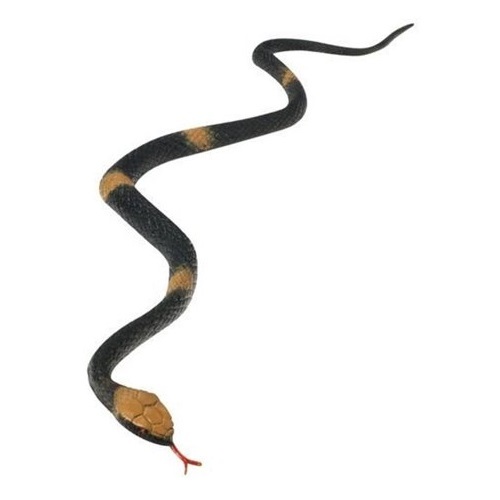 Buy Stretchy Snake at Mighty Ape NZ