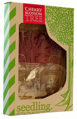 Buy My Magical Cherry Blossom Tree - Craft Kit at Mighty Ape Australia