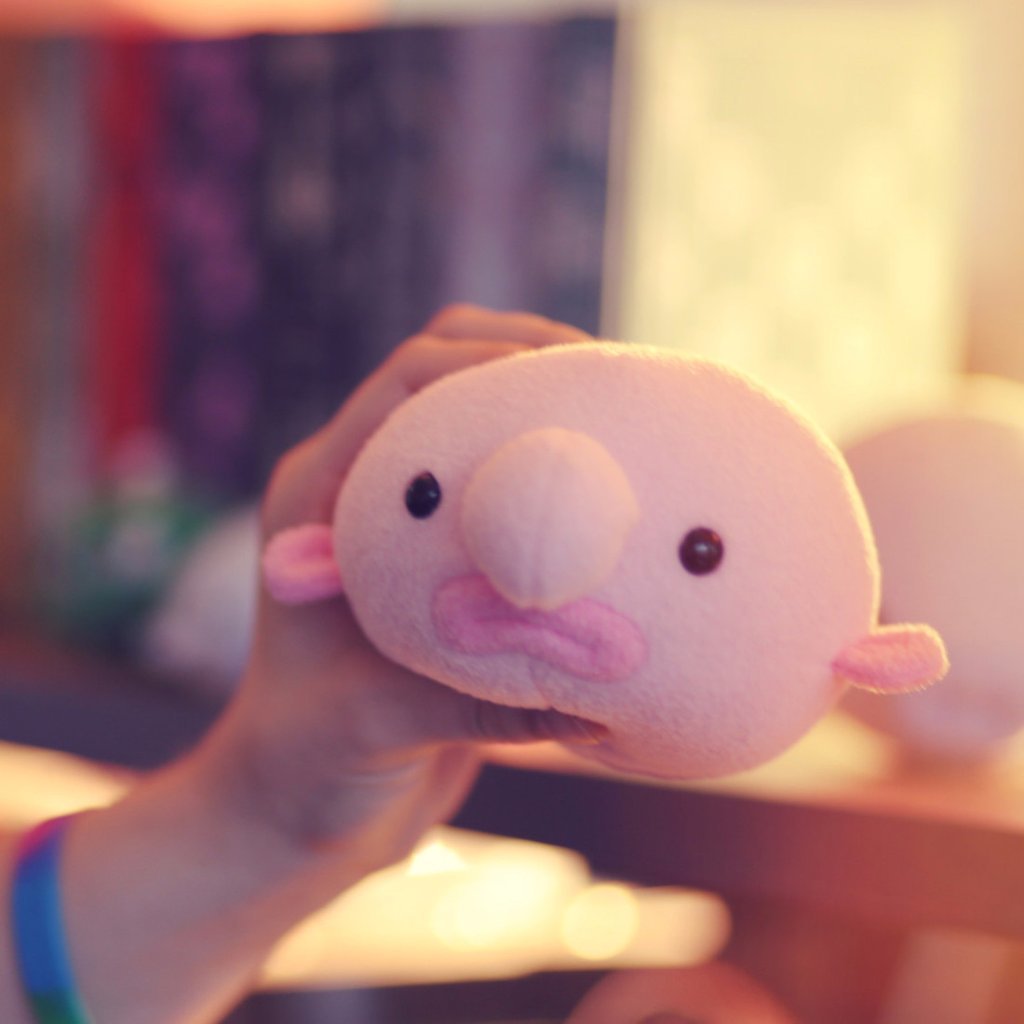 Buy Blobfish - Oddballz Plush at Mighty Ape NZ