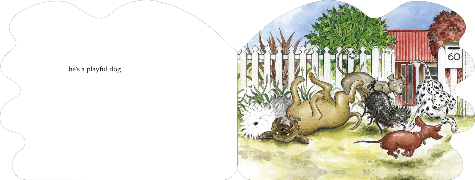 All About Hairy Maclary | Lynley Dodd Book | Buy Now | at Mighty Ape NZ