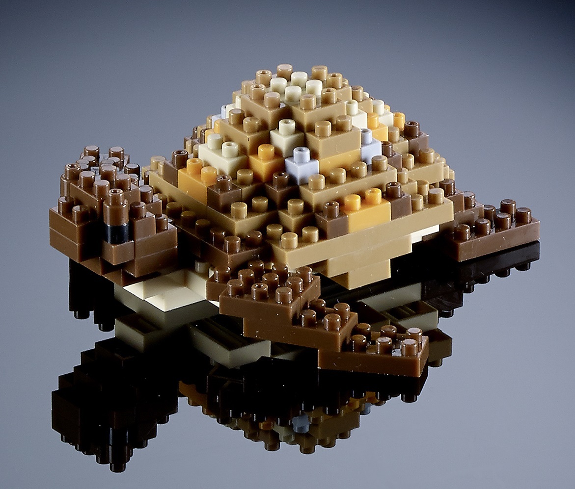 Buy Brixies - Turtle Building Set at Mighty Ape NZ