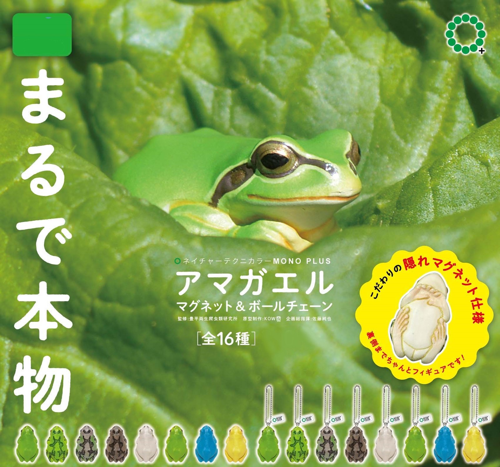 Japanese Frog Magnet & Ball Chain (Blind Box) | at Mighty Ape NZ