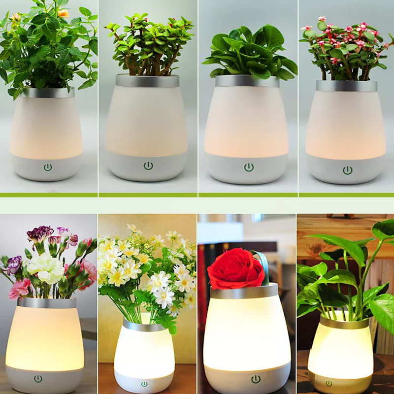 350ml Touch Sensor Vase Table Light | at Mighty Ape NZ