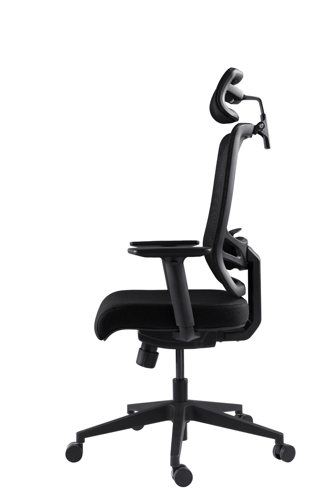 Buy Executive - Office Chair at Mighty Ape NZ