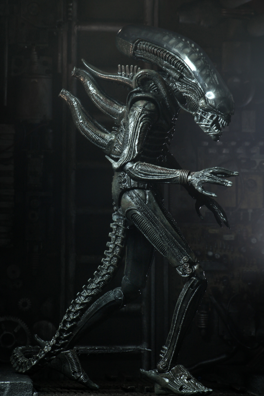 Xenomorph (Big Chap) - 7″ Ultimate Figure | at Mighty Ape Australia