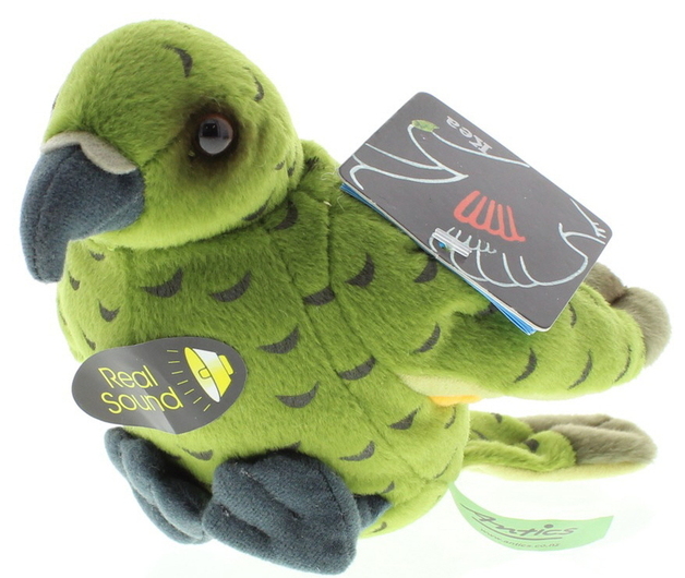 Buy Kea w/Sound 15cm at Mighty Ape NZ
