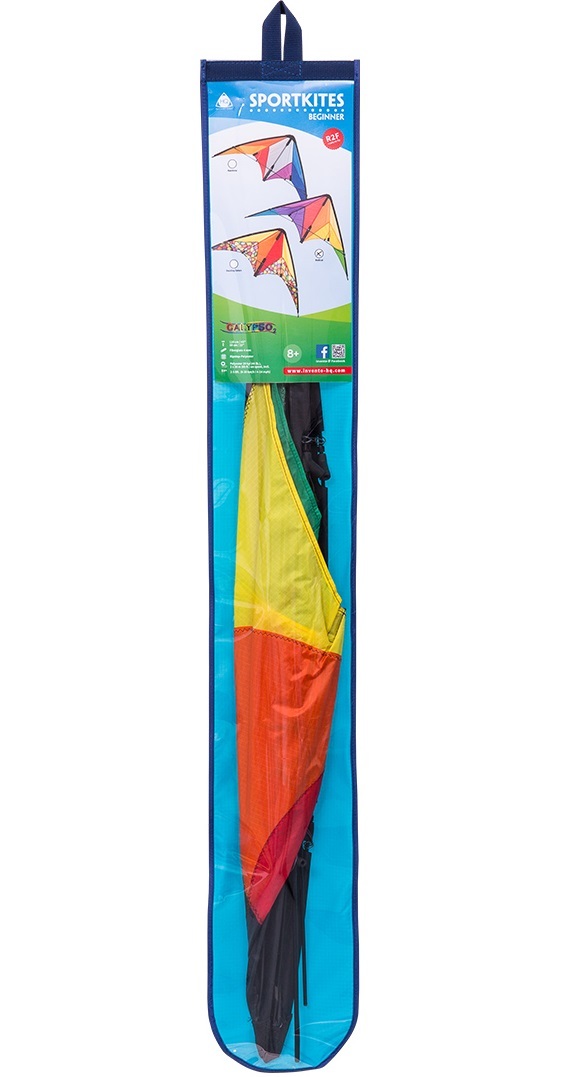 Buy Calypso II Radical R2F - Sport Kite at Mighty Ape NZ