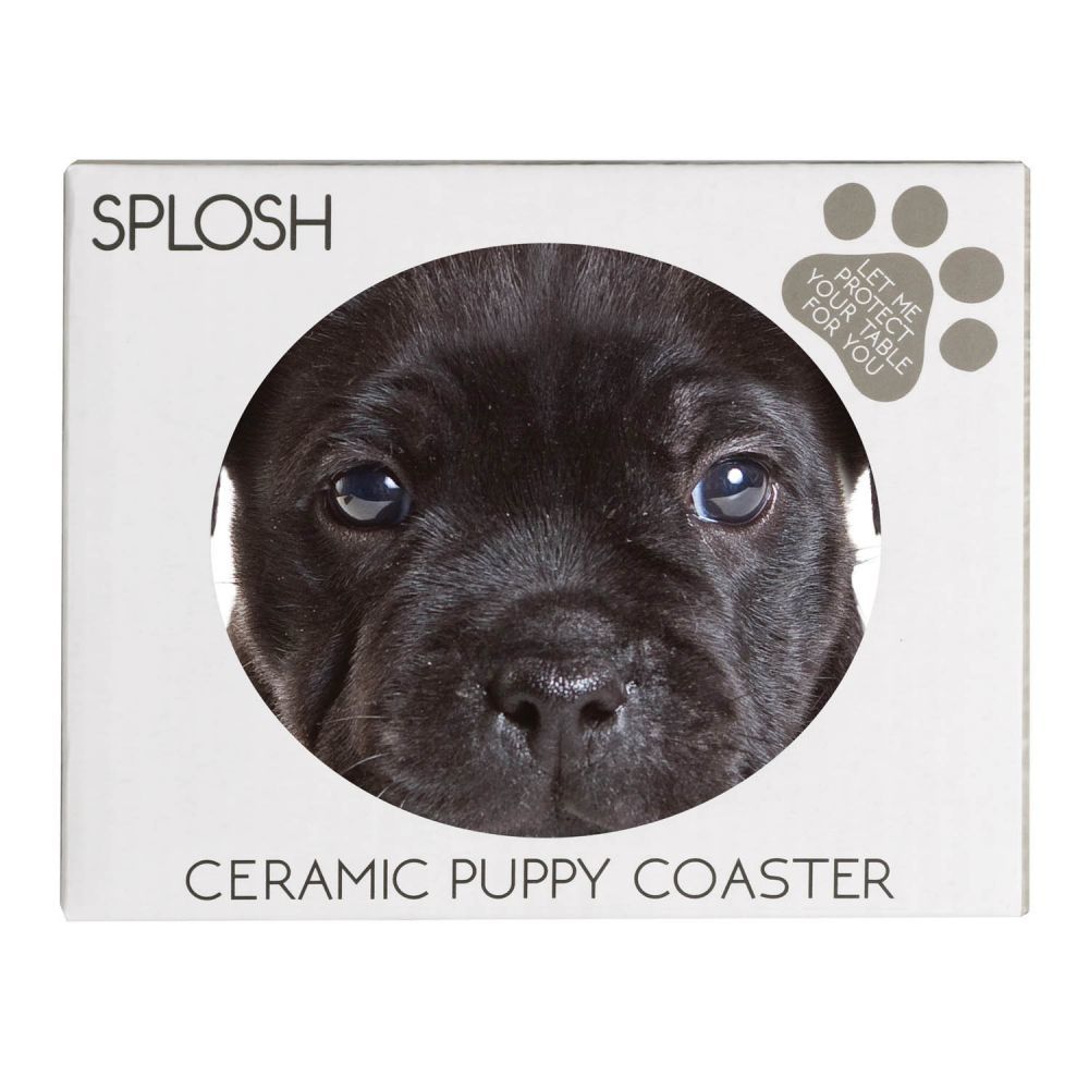 Buddy Puppy Ceramic Coaster | at Mighty Ape NZ