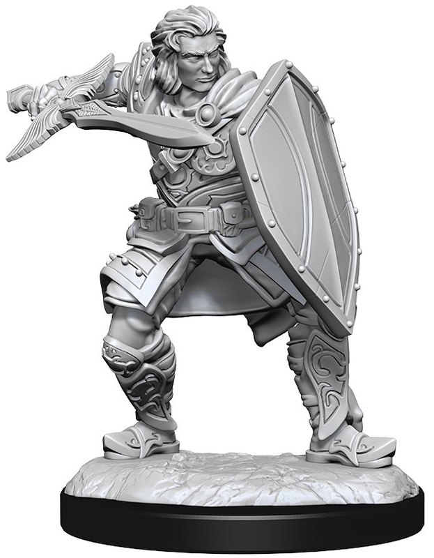 D&D Nolzur's Marvelous: Unpainted Miniatures - Human Paladin Male | at ...