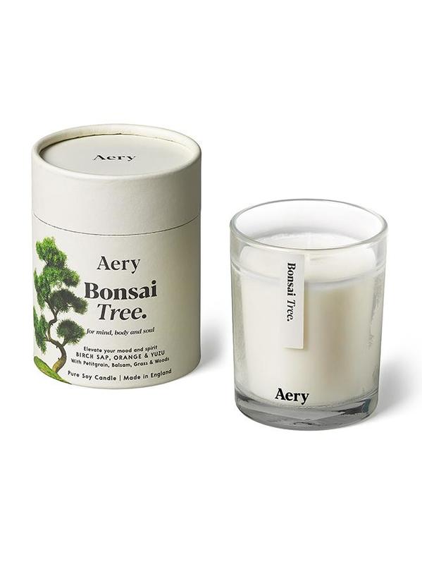Botanical 200g Soy Candle - Bonsai Tree (Birch Sap Orange Yuzu) | at ...