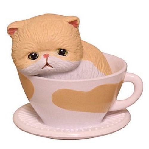 Cat Cup - Mini Figure (Assorted) | at Mighty Ape NZ