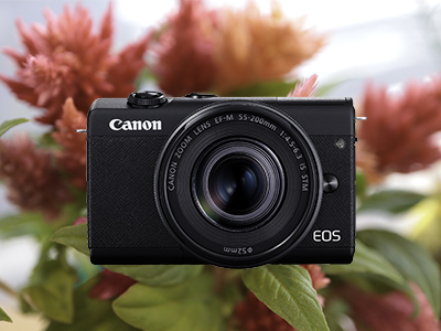 Buy Select Canon Cameras and get up to $200 Cashback! at Mighty Ape NZ